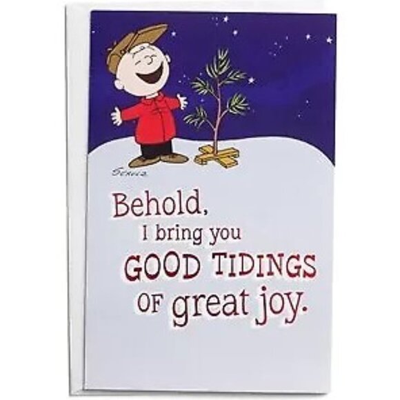Dayspring | Holiday | 2 Dayspring Christmas Cards Peanuts Charlie Brown ...